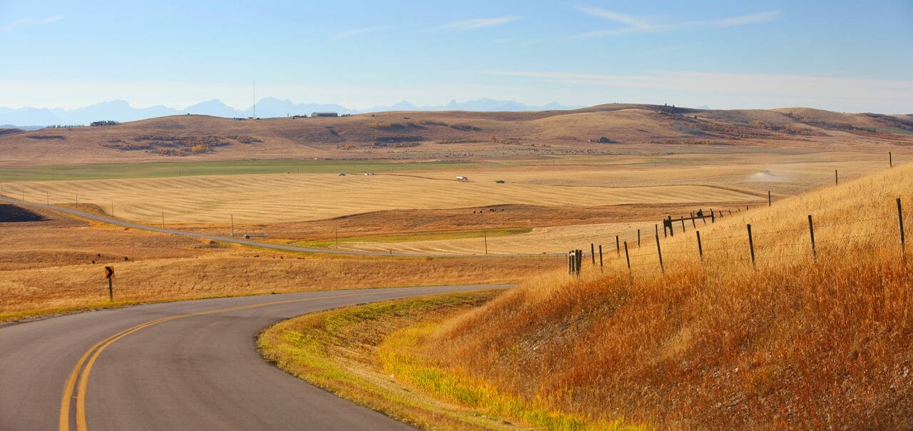 Canadian Prairie Paintings | ArtMatch Online Gallery